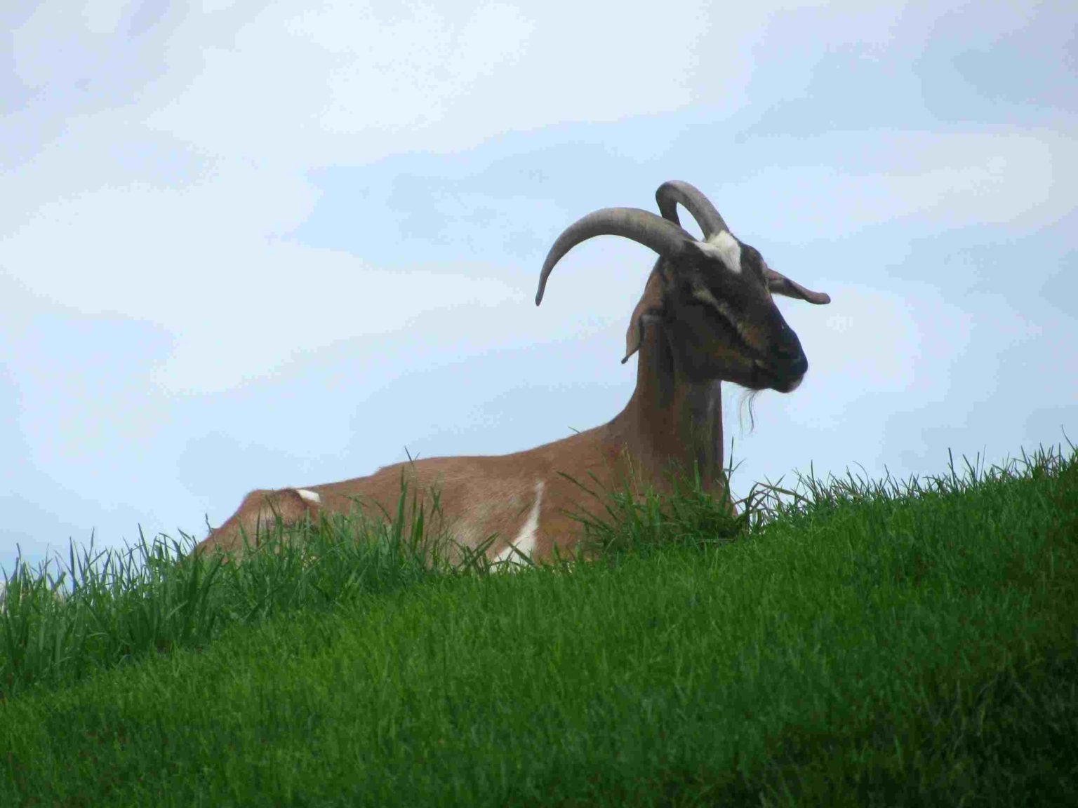 29 Best Door County Restaurants According to a Local [2024] | Dining ...