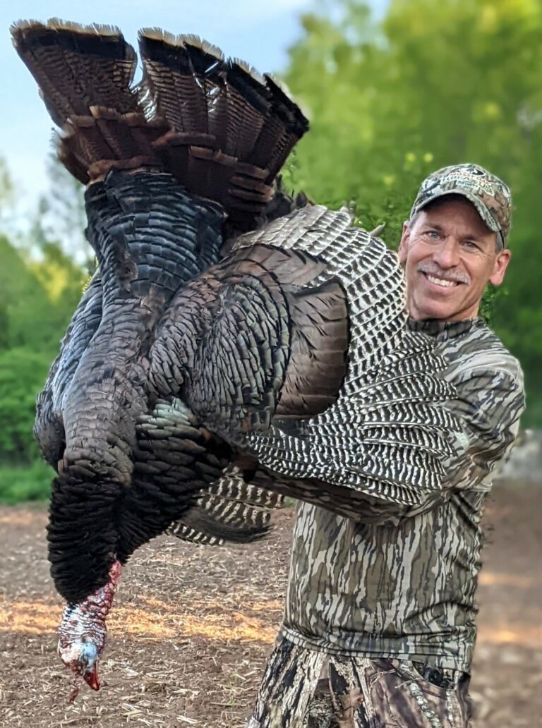 Does Door County Have Wolves? - Hello Door County