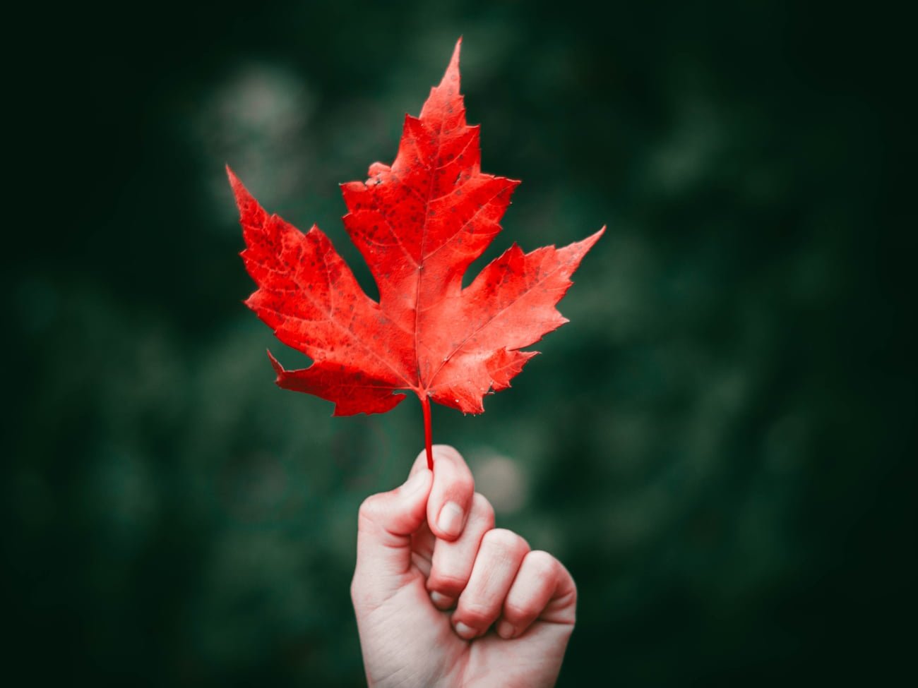 10 Best Places to See Fall Colors in Wisconsin - Hello Door County