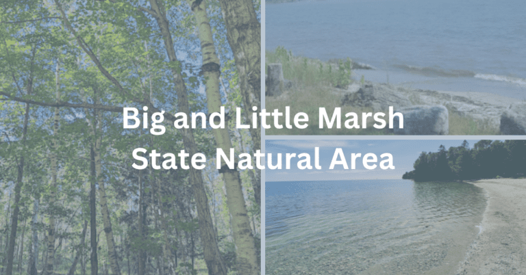 Big and Little Marsh State Natural Area - Hello Door County